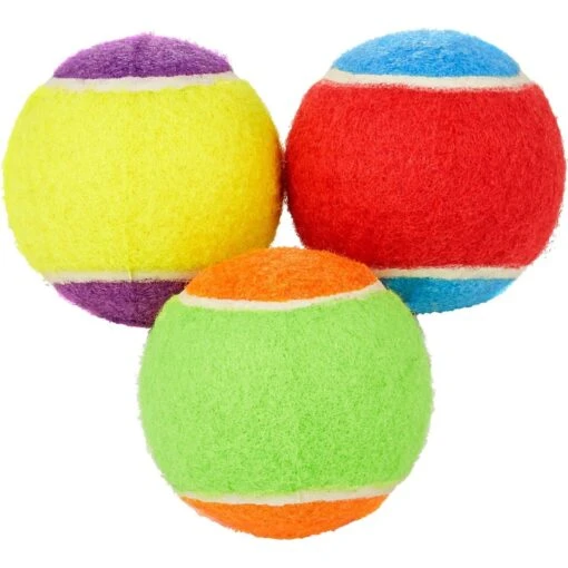 Frisco Fetch Squeaking Colorful Tennis Ball Dog Toy & Project Hive Pet ...